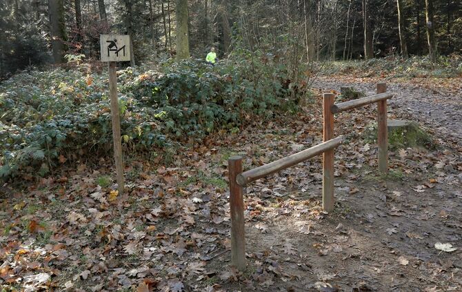 Auf dem Trimm-dich-Pfad im Welzheimer Tannwald werden die Geräte ...