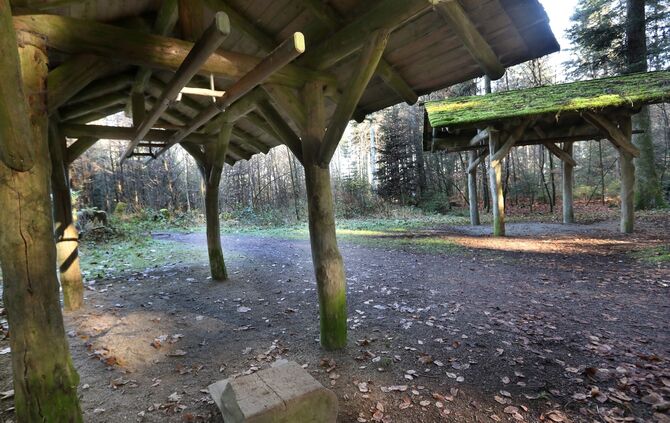 Auf dem Trimm-dich-Pfad im Welzheimer Tannwald werden die Geräte ...