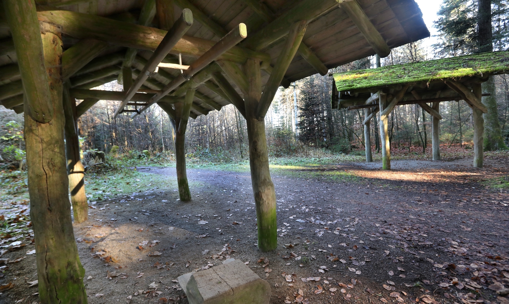 Auf dem Trimm-dich-Pfad im Welzheimer Tannwald werden die Geräte ...