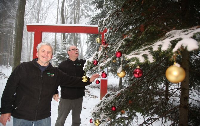 Im Welzheimer Tannwald entsteht ein Weihnachtsweg zum Mitmachen ...