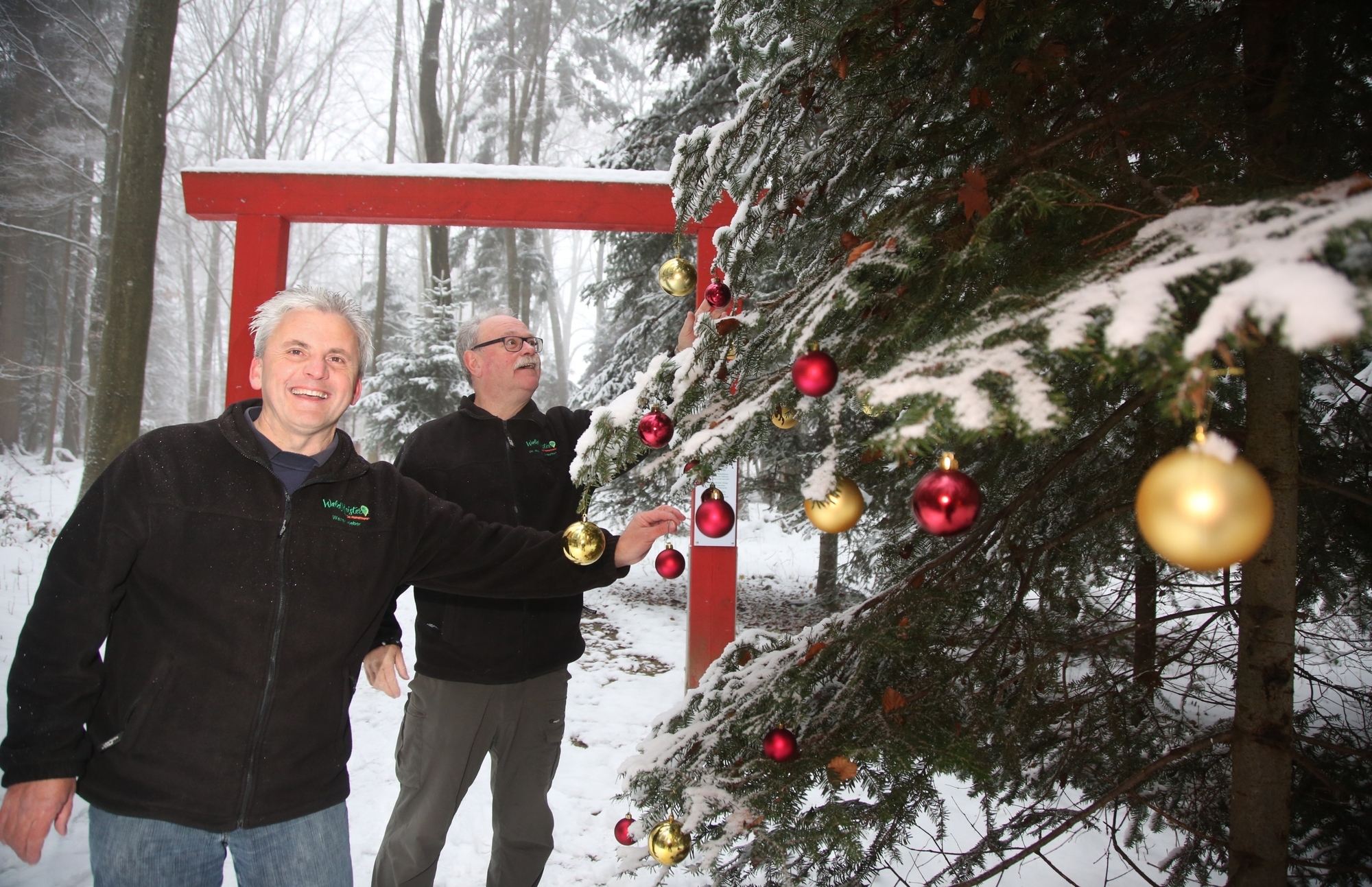 Im Welzheimer Tannwald entsteht ein Weihnachtsweg zum Mitmachen ...