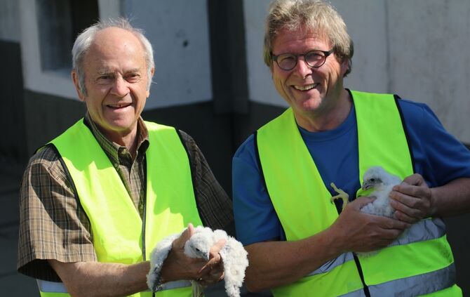 Gewa-Falken: Familienglück im Luxus-Tower - Nachrichten aus Fellbach ...