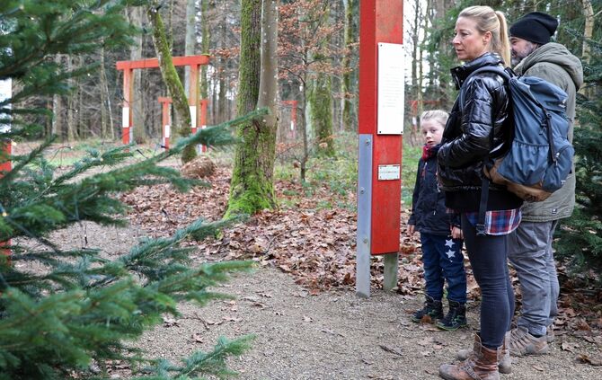 Welzheimer Tannwald um eine weihnachtliche Attraktion reicher ...