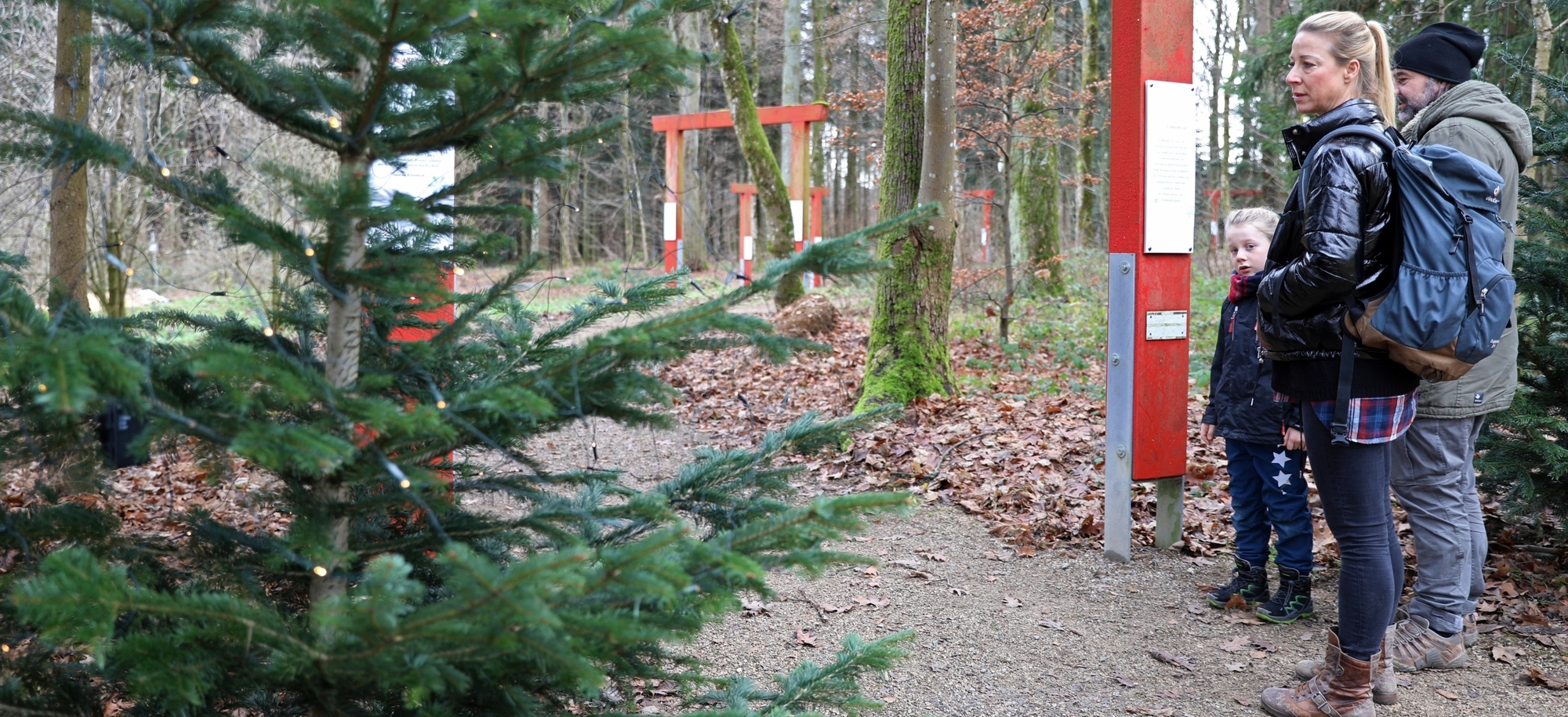 Welzheimer Tannwald um eine weihnachtliche Attraktion reicher ...