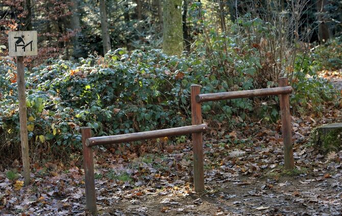 Was geschieht mit dem "Waldlaufpfad" und dem heutigen Trimm-dich-Pfad ...