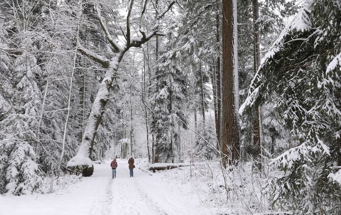 Wanderziele in weißer Winterpracht: Unterwegs zu Geheimtipps im ...