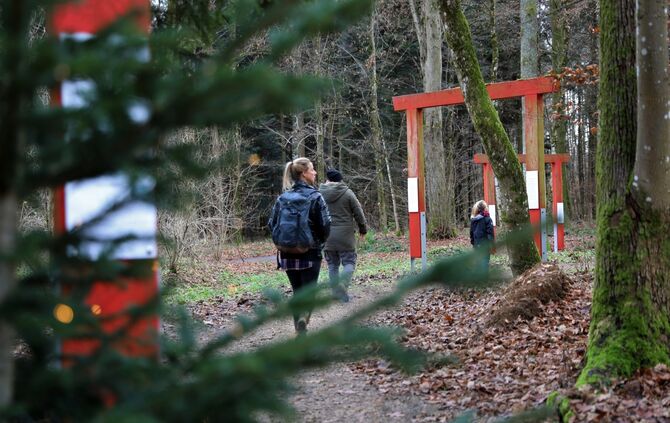 Wandern ohne „stilles Örtchen“ im Welzheimer Tannwald - Nachrichten aus ...