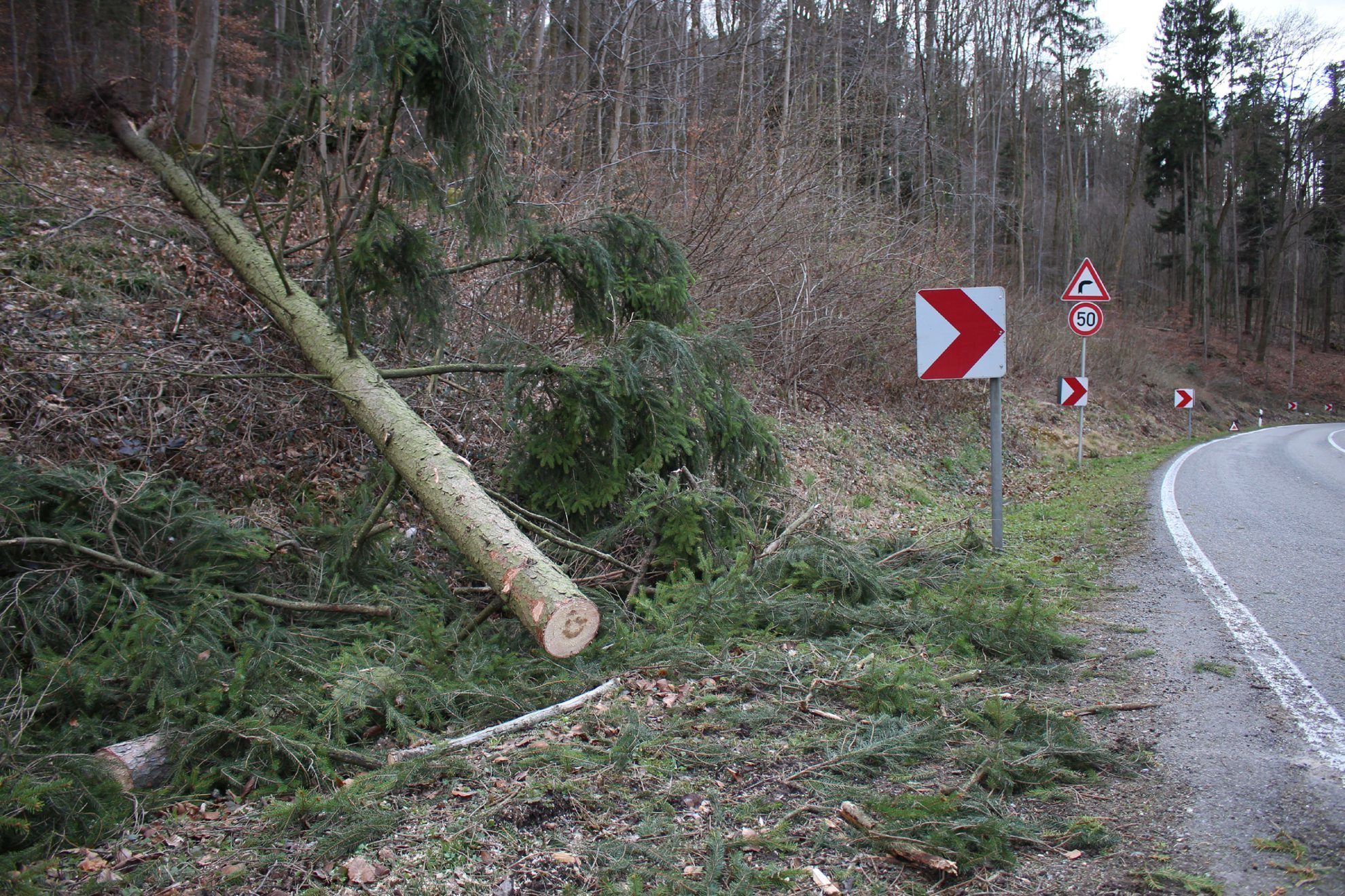 Sturm: Baum stürzt auf Auto - Polizeibericht Rems-Murr-Kreis ...