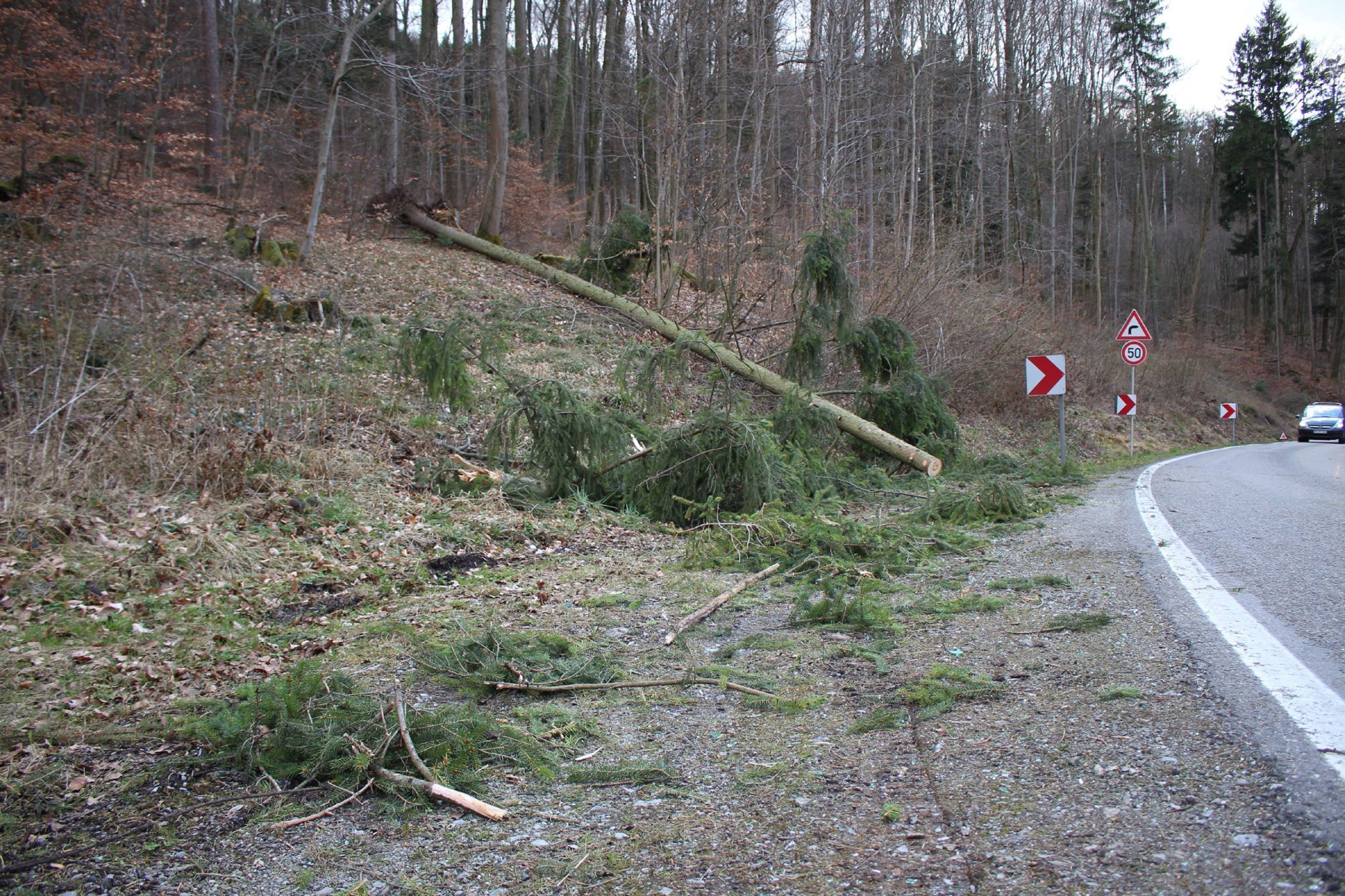 Sturm: Baum stürzt auf Auto - Polizeibericht Rems-Murr-Kreis ...