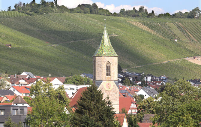 Neue Erkenntnisse: Wie alt ist die Stiftskirche in Beutelsbach wirklich ...