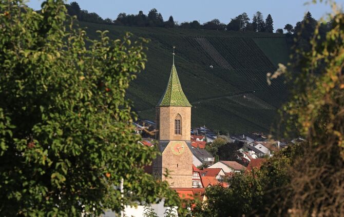 Weinstädter Wahrzeichen: Stiftskirche Beutelsbach für zwei Millionen ...