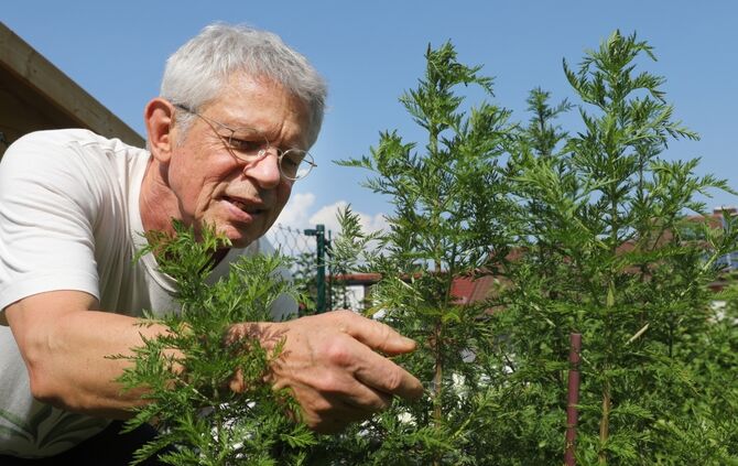 Hans-Martin Hirts neuer, sehr bekannter Anwalt: Wird nun alles gut mit ...