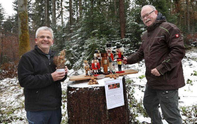 Was der Weihnachtswald im Welzheimer Tannwald ab Sonntag (12.12.) zu ...