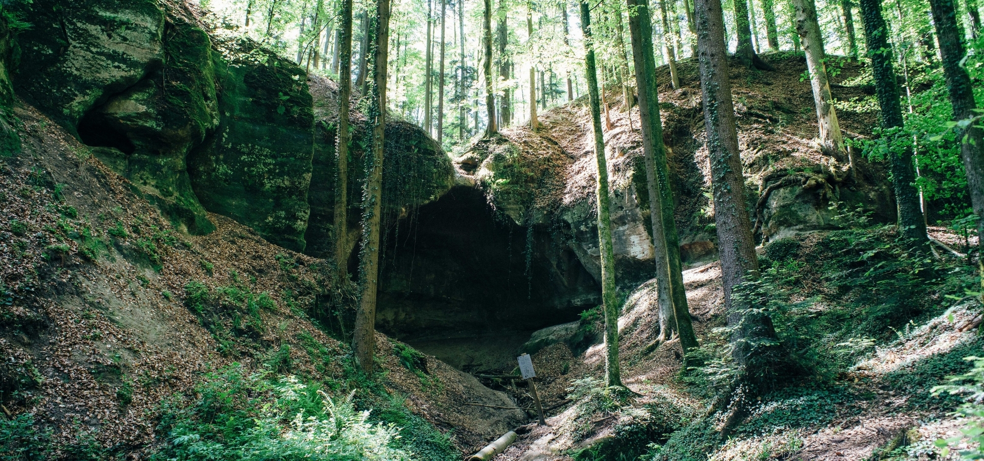 Wandertipps im Welzheimer Wald: "Geo-Erlebnispfad" und "Wanderwelt" am ...