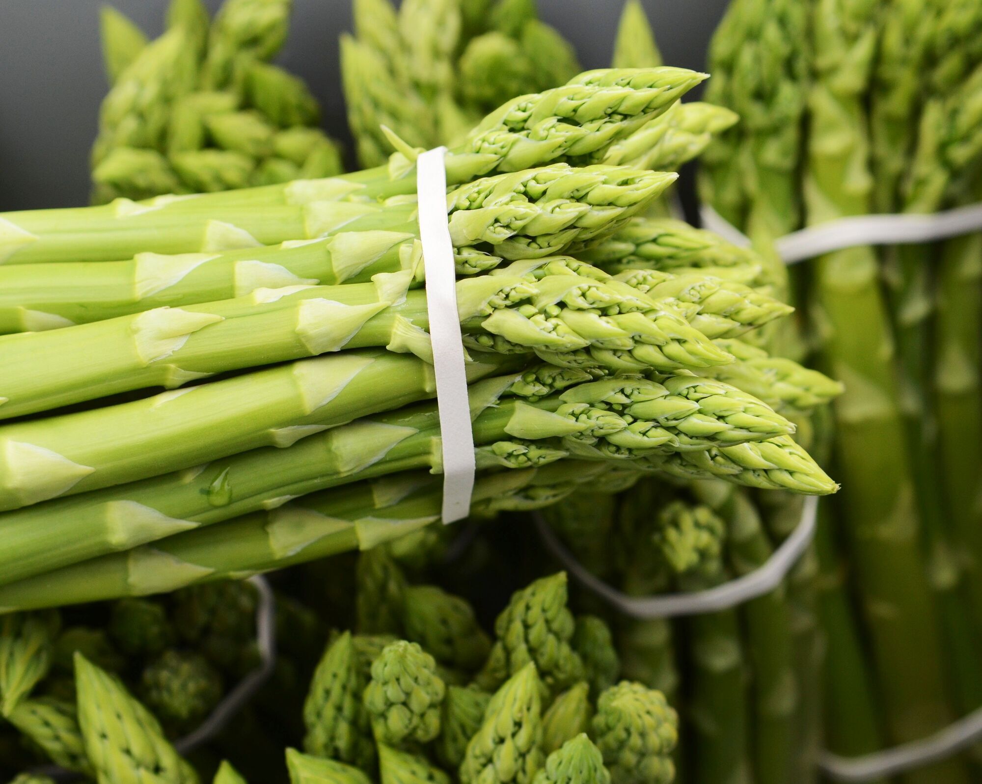 Frühlingszeit ist Spargelzeit: Darum ist er so gesund - Sport-News aus ...