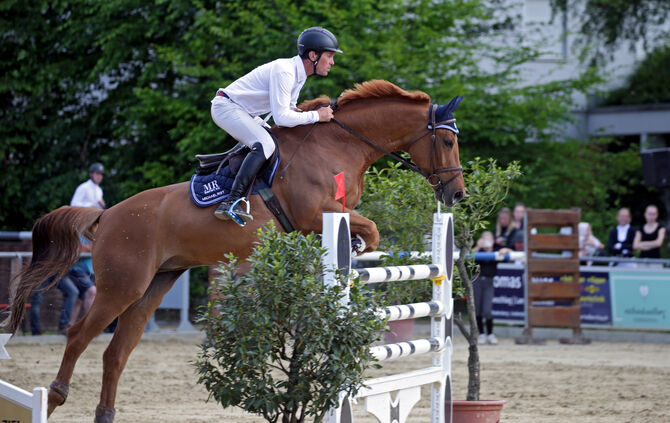 48. Großes Winnender Springturnier: Internationales Flair beim RV Winnenden - Sport-News aus dem ...