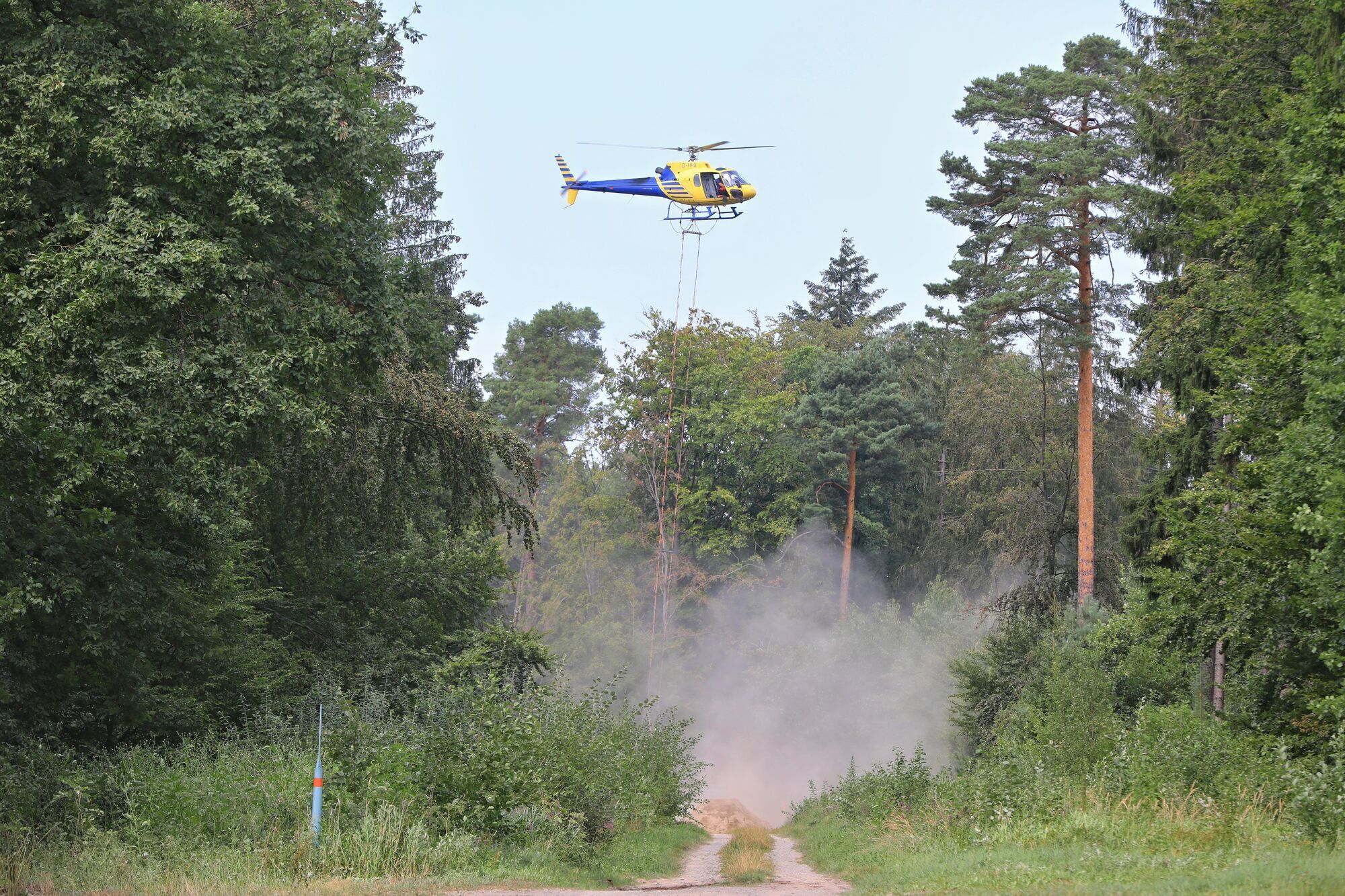 Ab Montag (22.08.) wird im Wald zwischen Urbach, Plüderhausen und Lorch ...