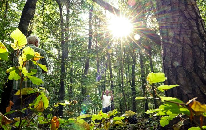 "Waldluft ins Herz schütten": Warum "Waldbaden" so gesund ist - Nachrichten aus dem Rems-Murr ...