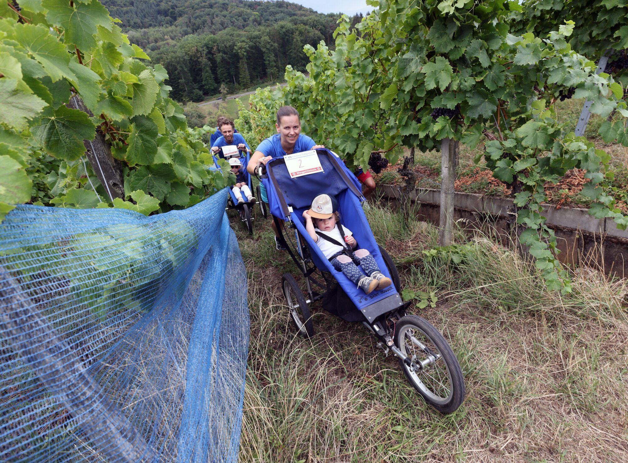 Wengert-Wetzede in Winnenden: 101 Starter tun Gutes bei Lions-Club ...