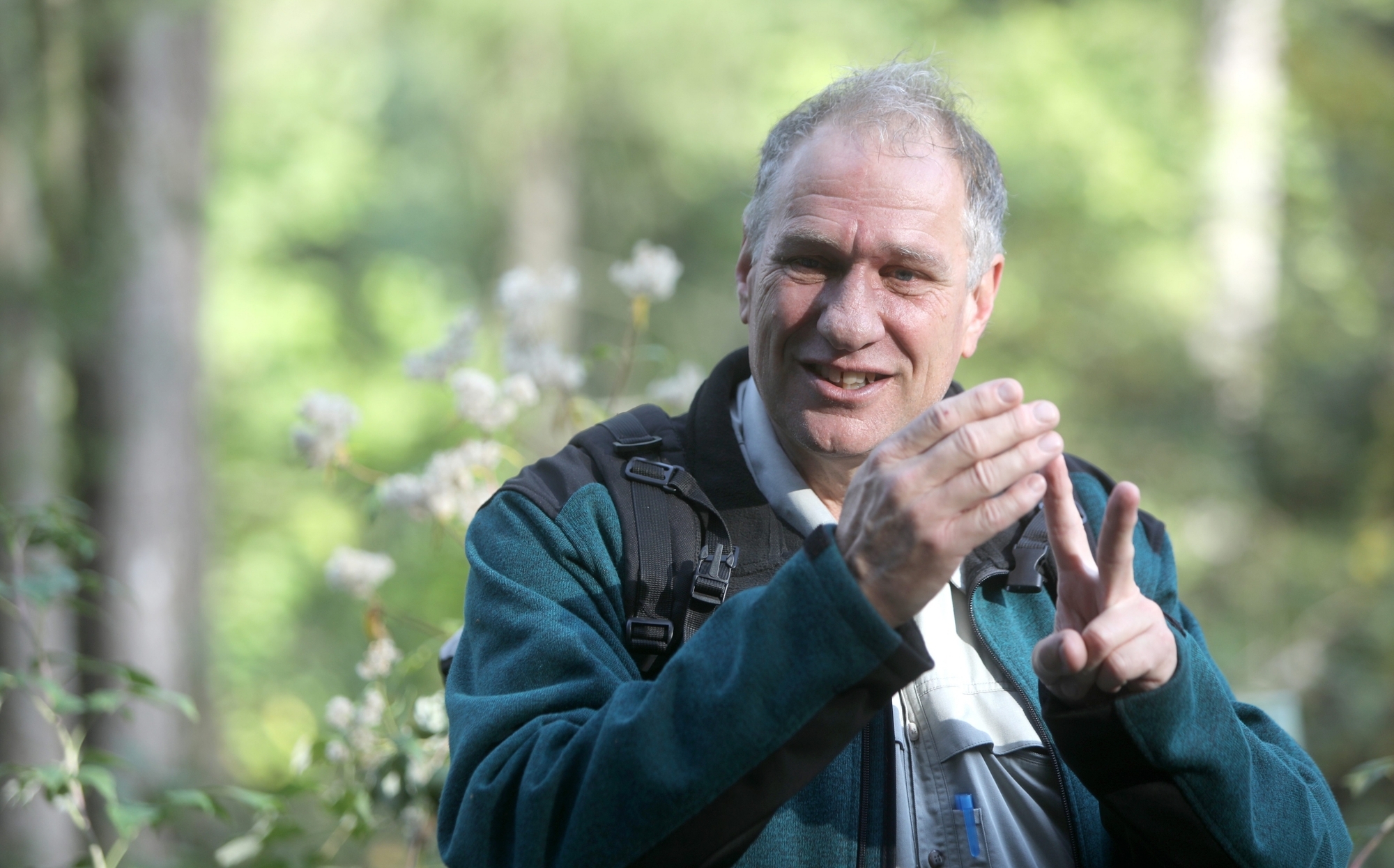 Revierförster Gert Pfeiffer erklärt: Wie steht es um den Urbacher Wald ...