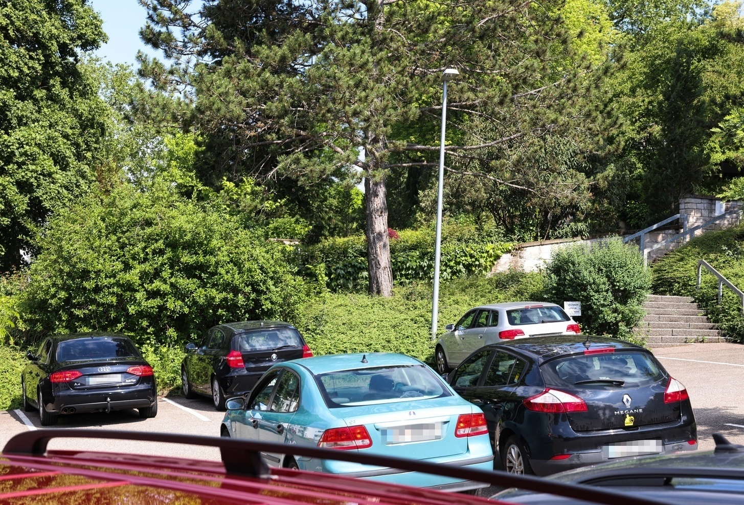 Parken In Swinemunde 2022
