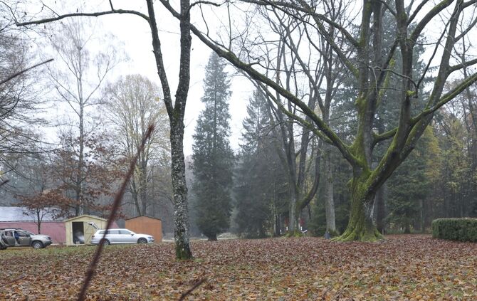 Advent im Park statt Weihnachtswald in Welzheim, aber warum ...
