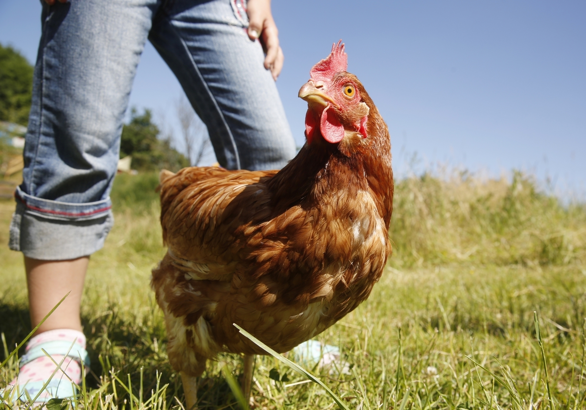 Ferienprogramm in Waiblingen 2023: Anmeldung ab sofort möglich ...