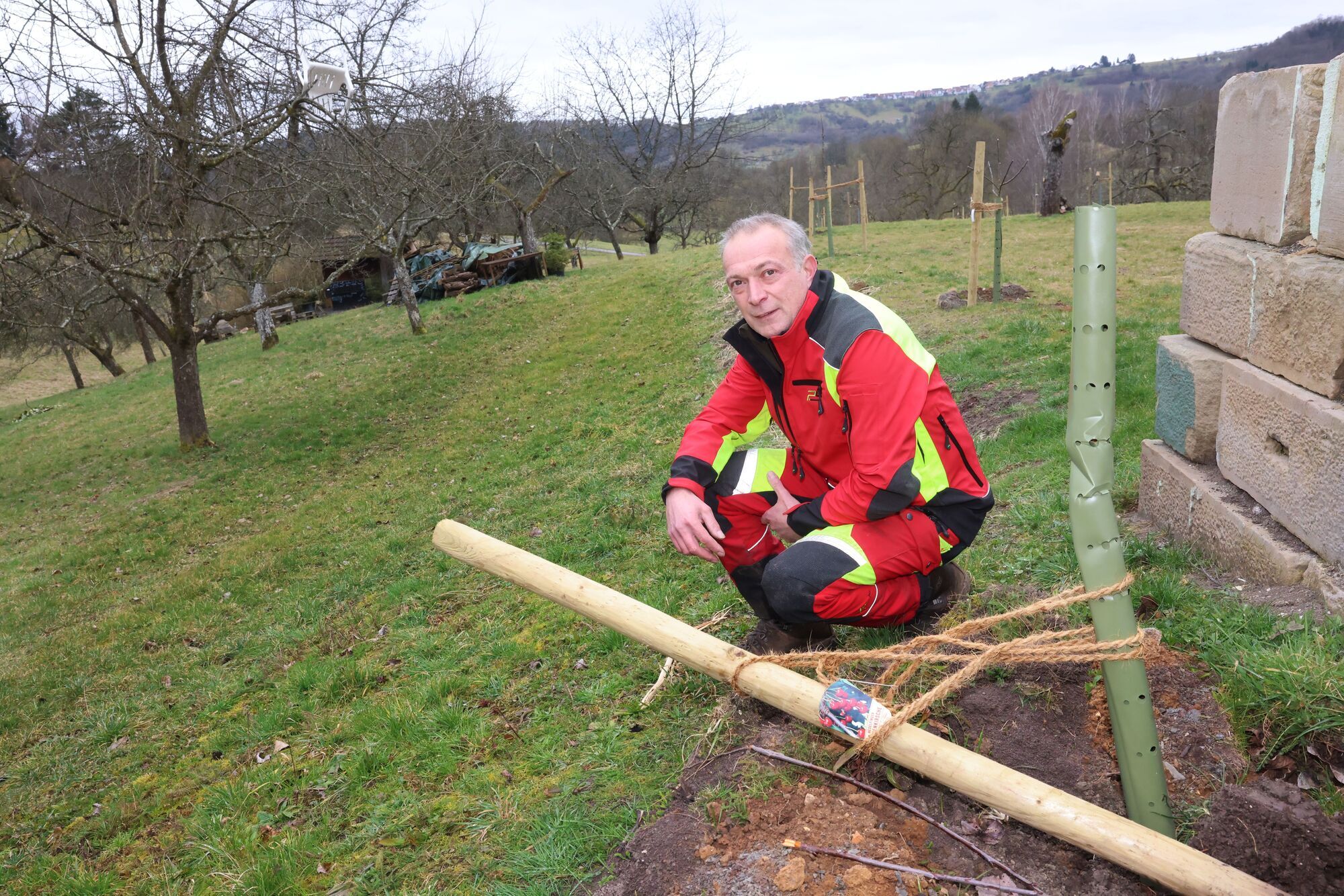 Ralf Riedel aus Schorndorf sauer: "Wer hat meine Obstbäume zerstört ...
