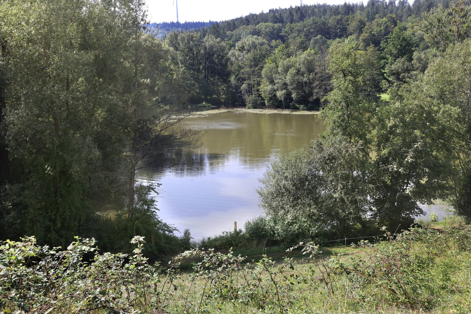 Der Winterbacher Lehenbachstausee wird abgelassen und bleibt lange Zeit ...