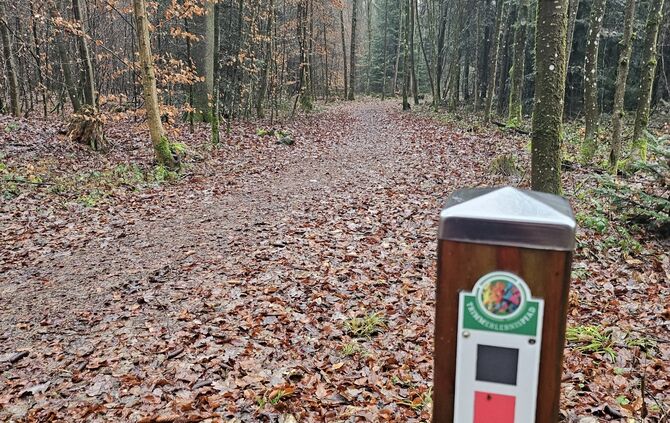 Trimm-dich-Pfad in Welzheim für die Auszeit nach Silvester ...