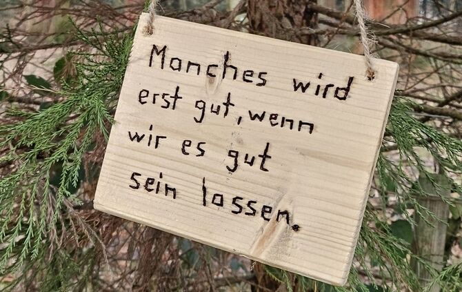Holztafeln mit Sprüchen im Welzheimer Tannwald entdeckt: Was steckt ...