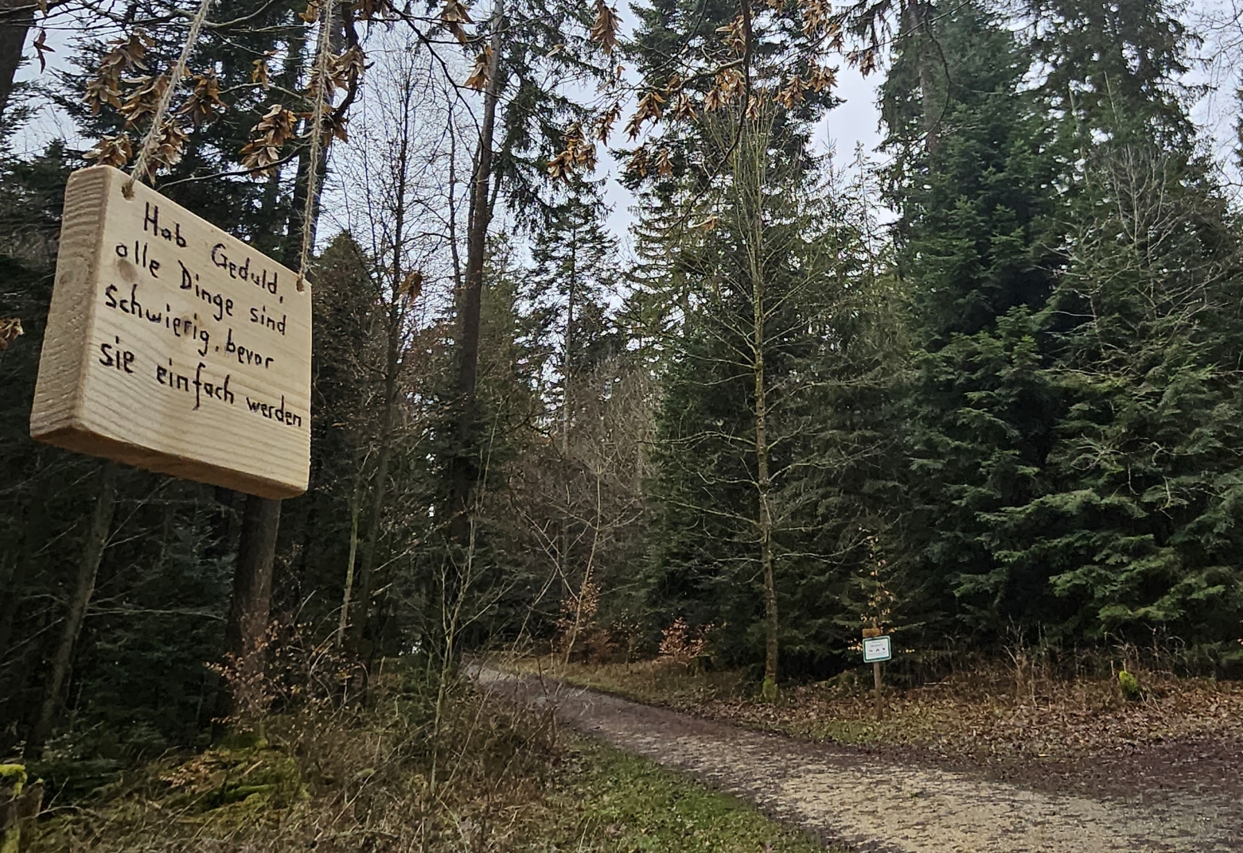 Holztafeln mit Sprüchen im Welzheimer Tannwald entdeckt: Was steckt ...