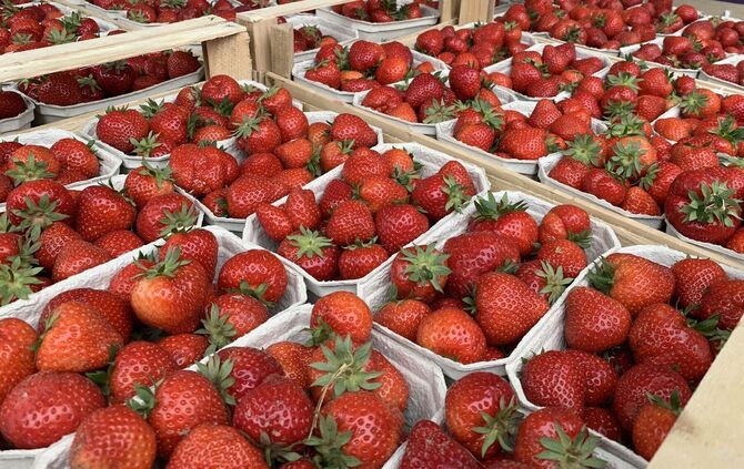 Was kostet eine Schale Erdbeeren auf dem Wochenmarkt in Winnenden ...
