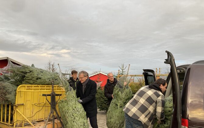 Weihnachtsbaum-Verkauf: Woher kommen die Christbäume in Waiblingen ...