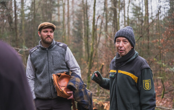Holzeinschlag am Tannwald in Welzheim: Weshalb die Maßnahmen nachhaltig ...