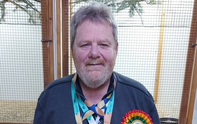 Gold-Vogel aus Alfdorf: Dieser Zeisig von Züchter Peter Wahl ist ...